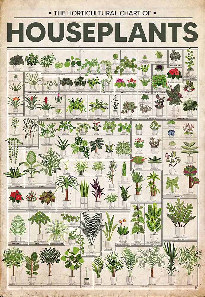 The Horticultural Chart Of Houseplants-MH3108